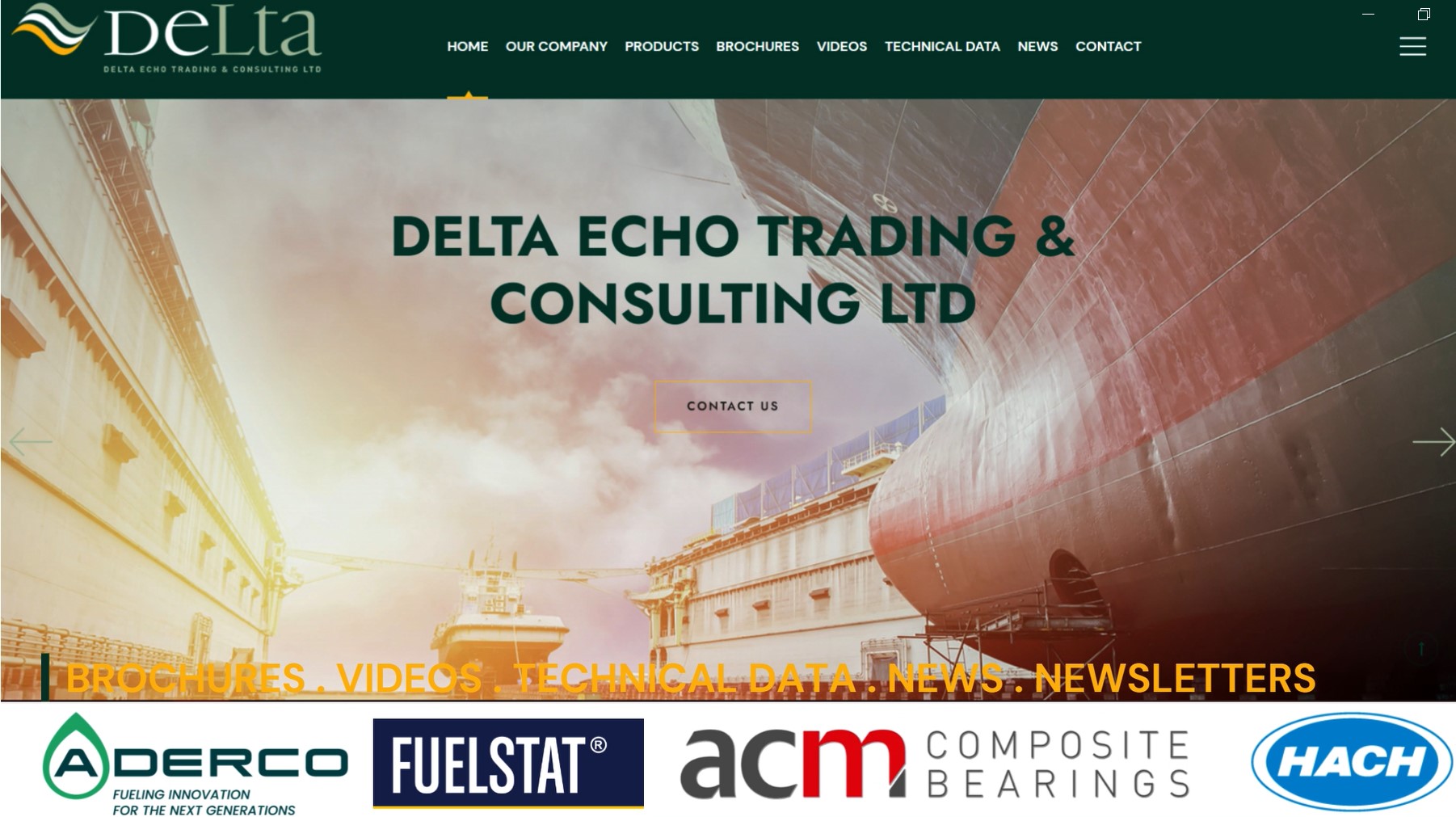 DELTA ECHO TRADING & CONSULTING LTD
